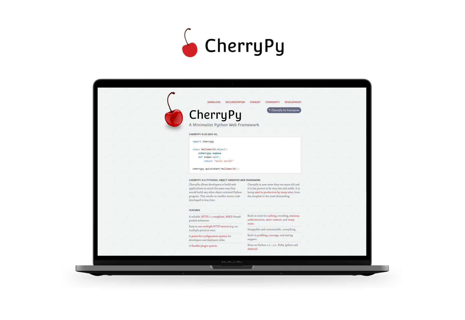 Python: The Definitive Business Guide | Ideamotive